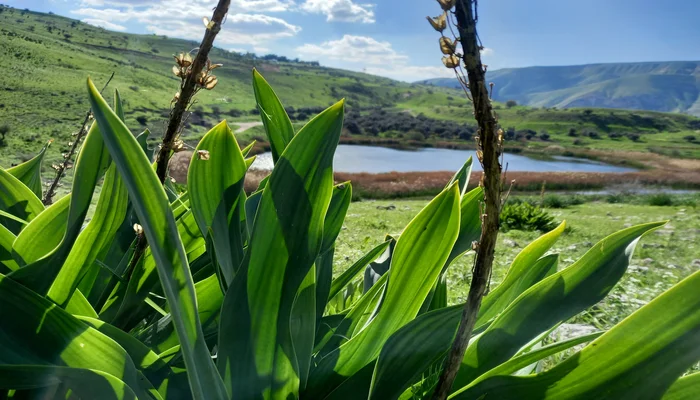 أفضل 7 اماكن سياحية في اربد لن يخرج عنها اختيارك